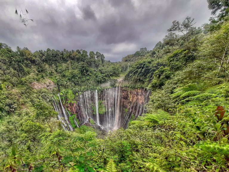 7 PLACES YOU MUST VISIT IN EAST JAVA